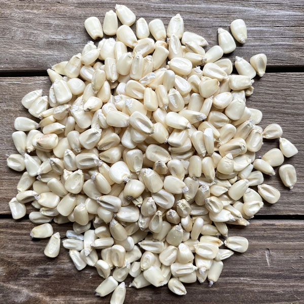 Volunteer Mission Grains – Quality Grown Malted Grains